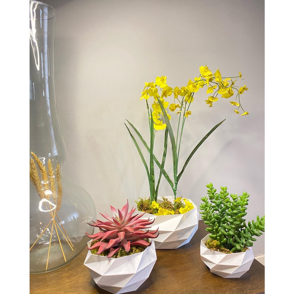 KIT 3 Vasos Coimbra PMG Branco | Shopee Brasil