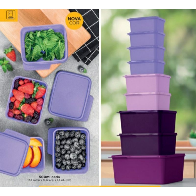 Linha Basic Line Tupperware | Shopee Brasil