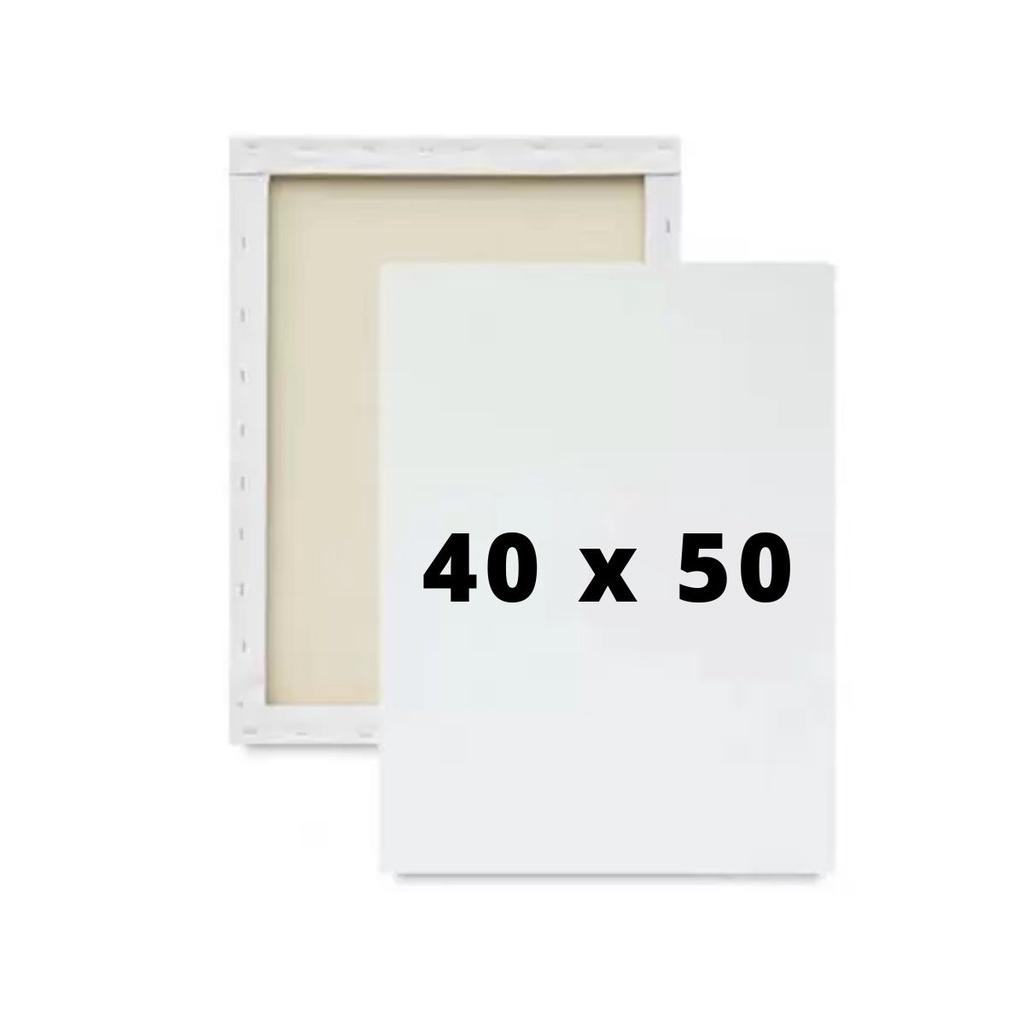 Tela Para Pintura 40x50 cm c/ 1 Unidade | Shopee Brasil