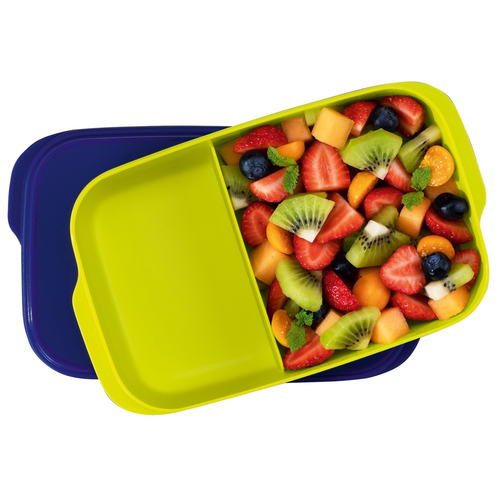Basic Line 590ml com divisória Tupperware | Shopee Brasil