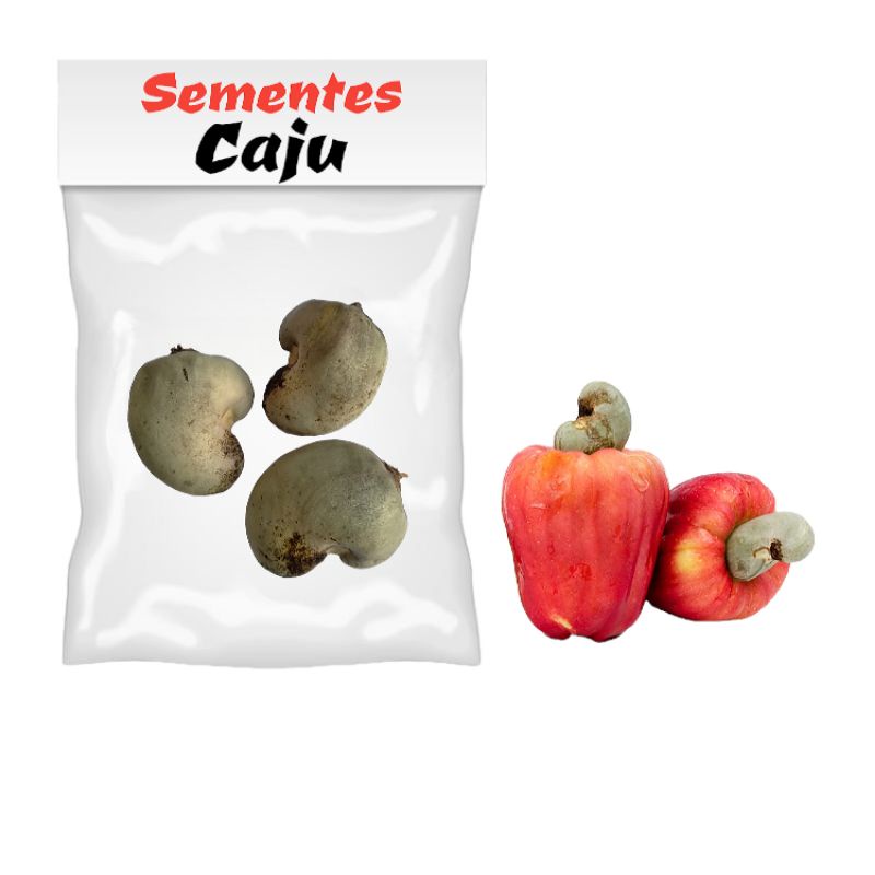 3 Sementes Caju - Cajueiro - Anacardium Occidentale | Shopee Brasil