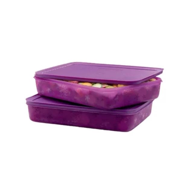 Pote para Congelar Alimentos Freezer Line Tupperware 2,5L | Shopee Brasil