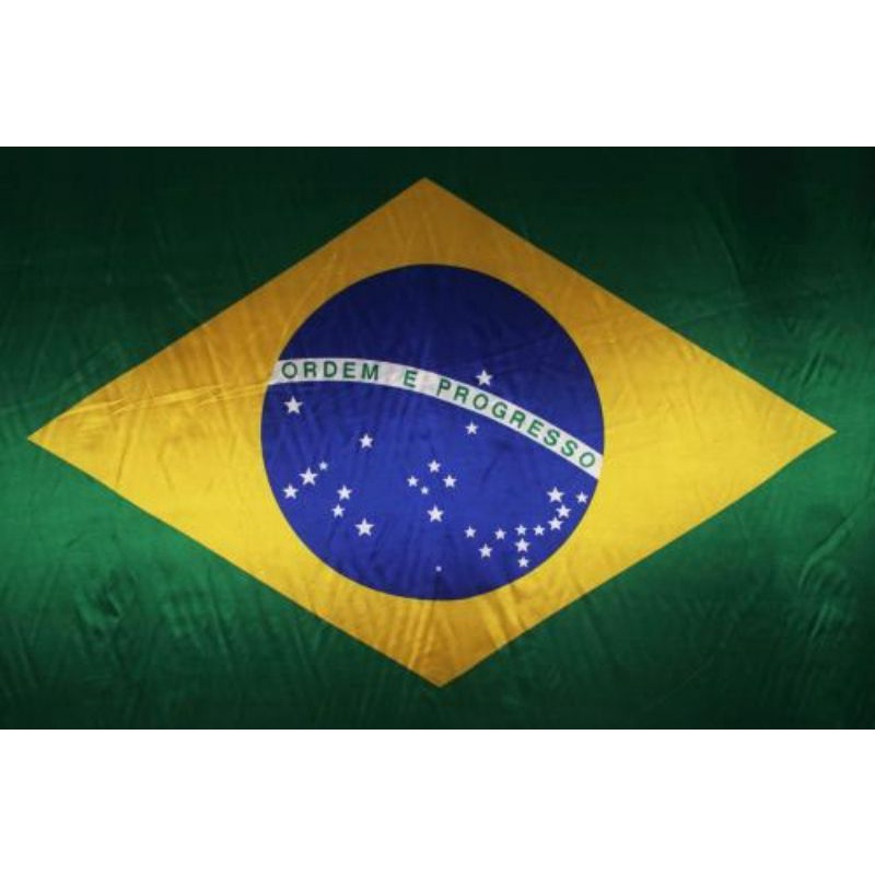 Bandeirinha do Brasil Pequena | Shopee Brasil