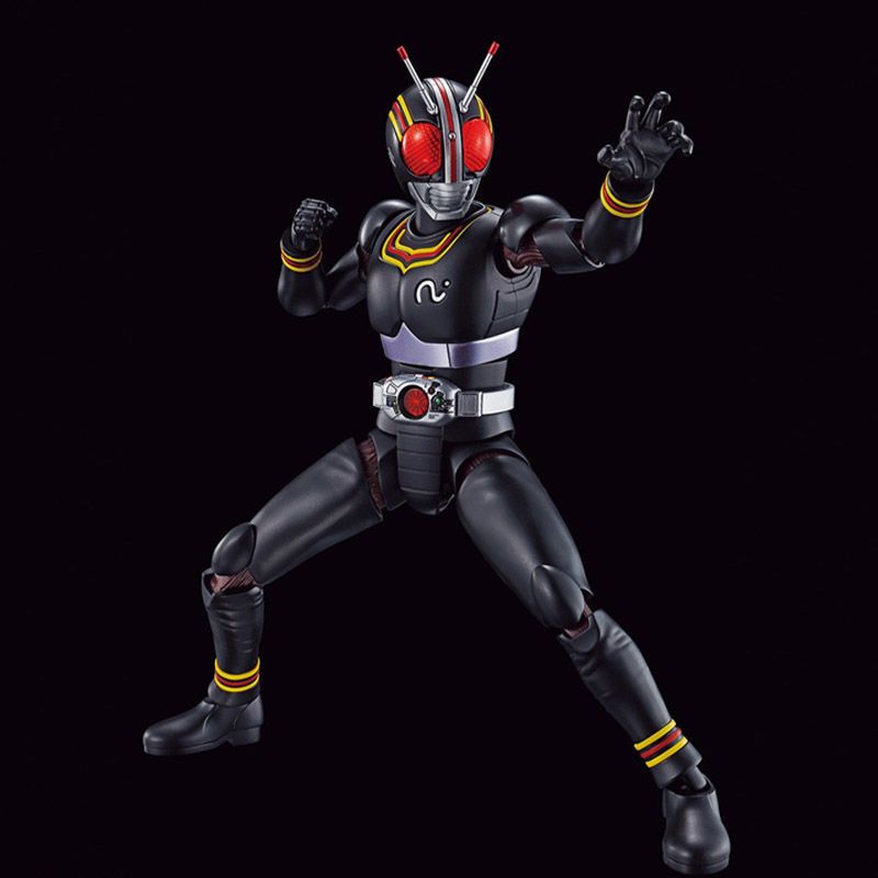 Modelo De Montagem Do Dia Preto Sol Bandai Crescer Da Figura FRS Kamen ...