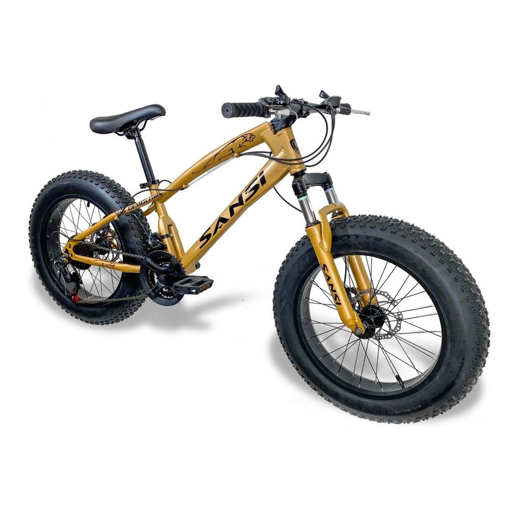 Bicicleta Fat Bike Aro 20 Pneus 4.0 Freios A Disco Infantil | Shopee Brasil