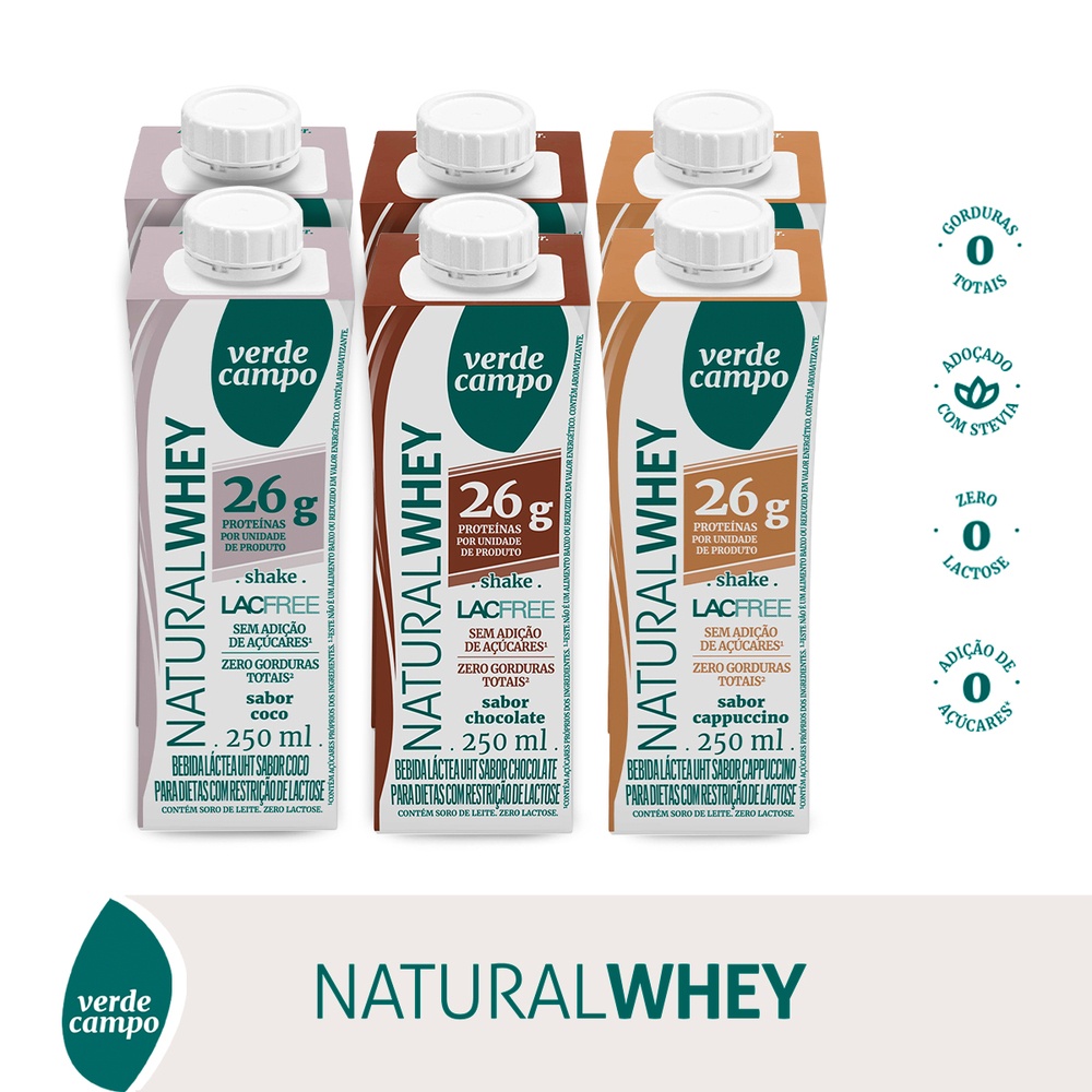 SHAKE NATURAL WHEY VERDE CAMPO SABORES 26G 250ML PACK C/6UN | Shopee Brasil
